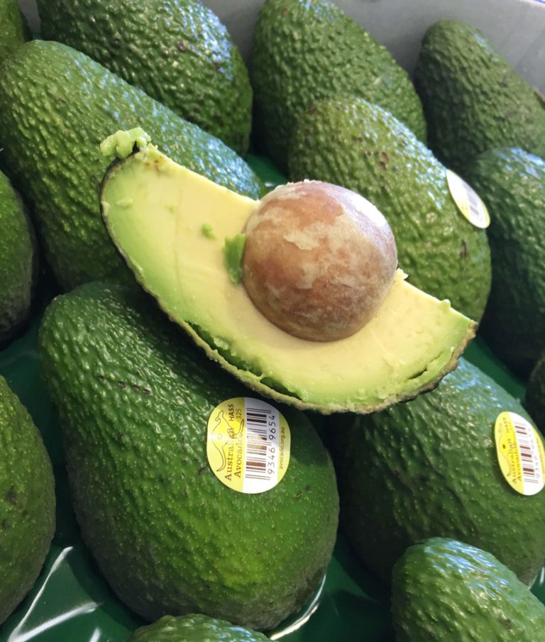 Avocados | FaVCo Fruit and Vegetable Farms : FaVCo Fruit and Vegetable ...